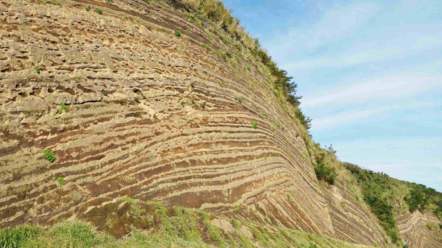 Izu Oshima - Travel in Japan