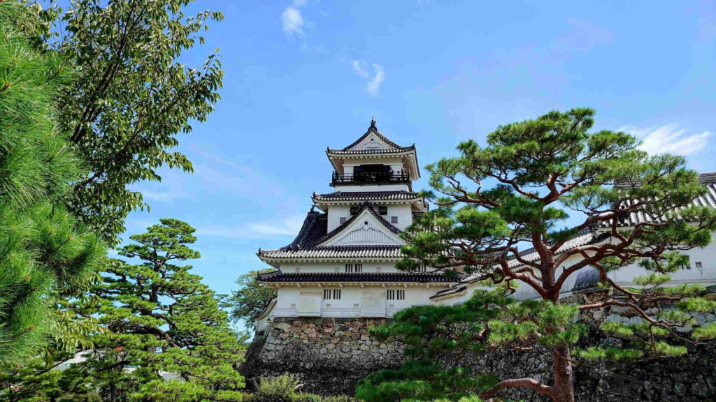 Kochi Castle - Travel in Japan