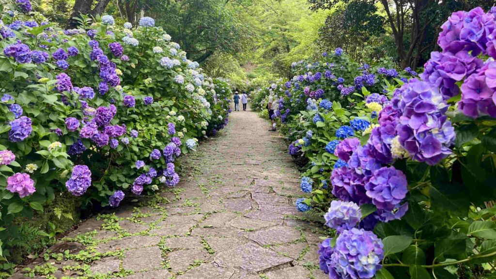 Shimoda Park - Travel in Japan
