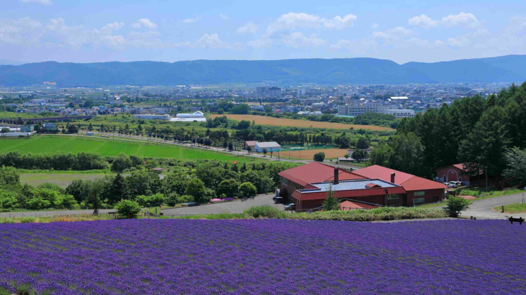 Furano Winery - Travel in Japan