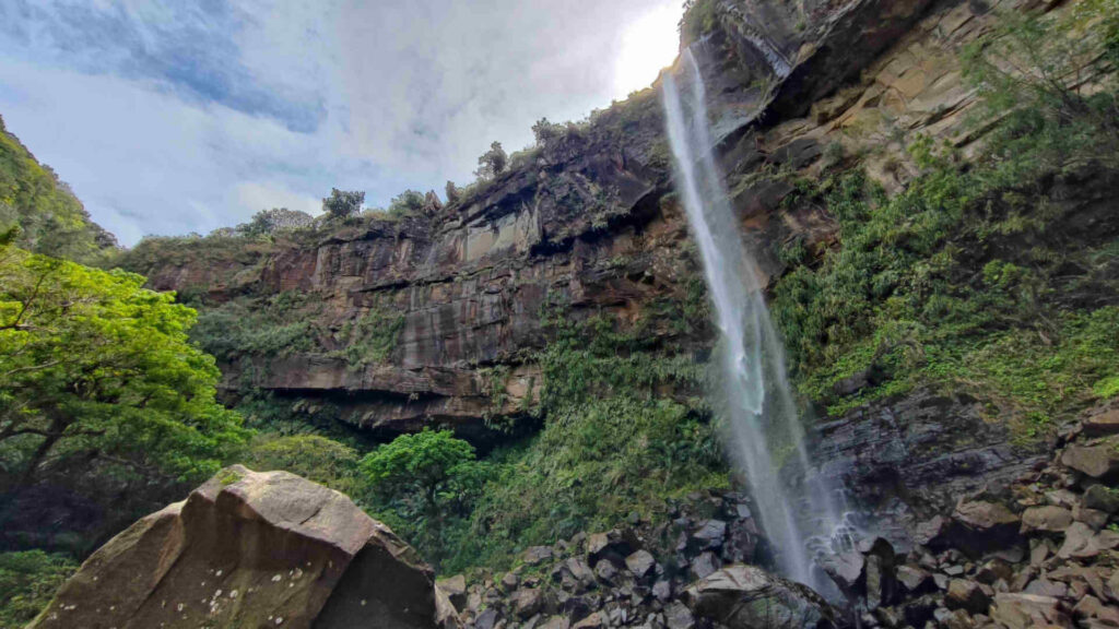 Iriomote Island - Travel in Japan