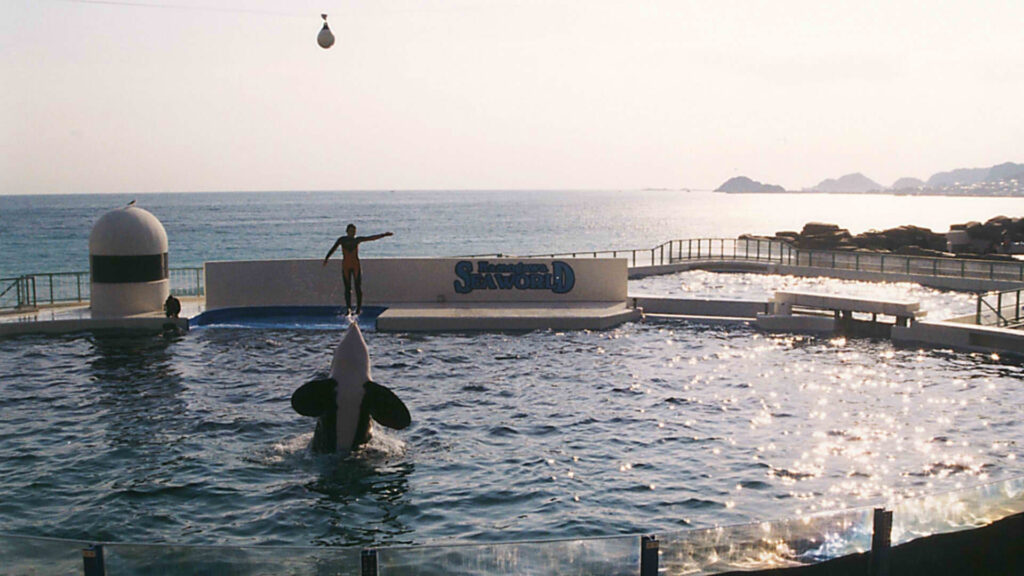 Kamogawa Seaworld - Travel in Japan
