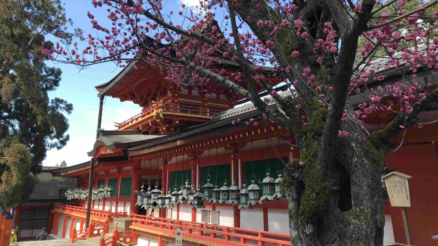 Kasuga Taisha - Travel in Japan