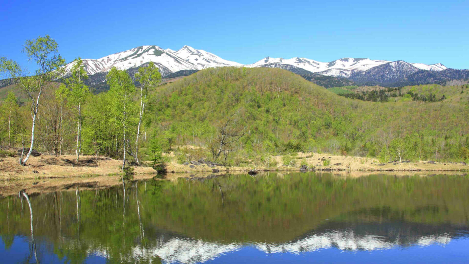 Norikura Kogen - Travel in Japan