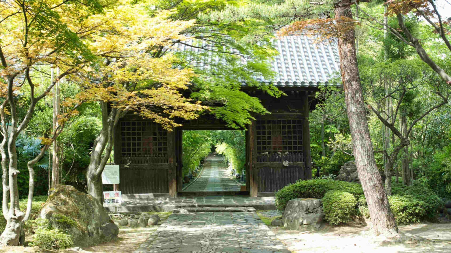Rinnoji Temple - Travel in Japan