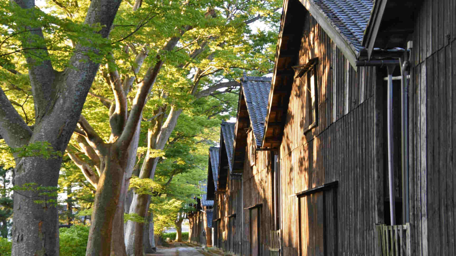 Sakata - Travel in Japan