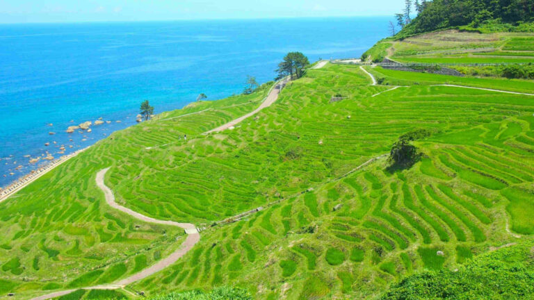 Wajima City - Travel in Japan