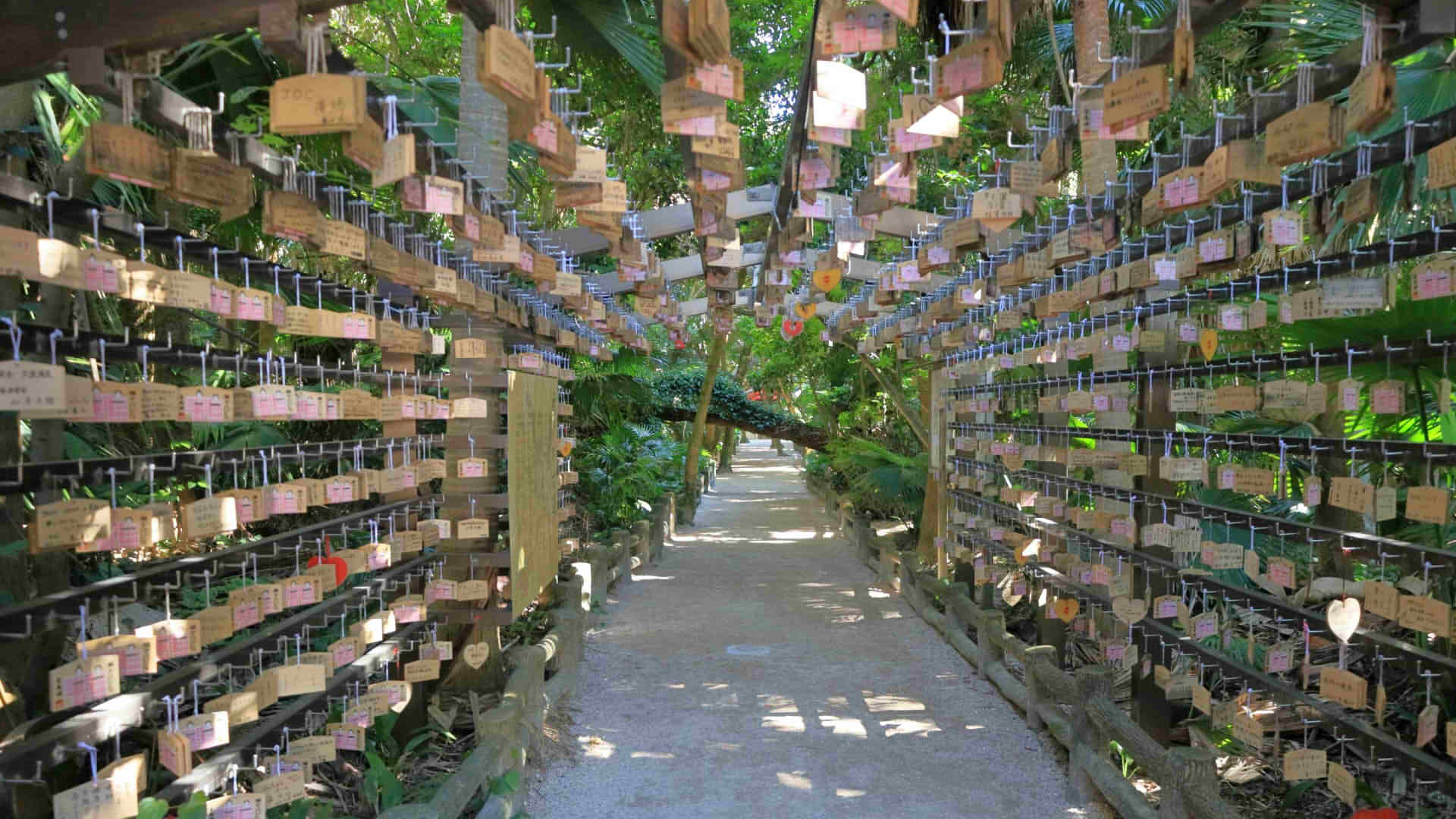 Aoshima Island - Travel in Japan