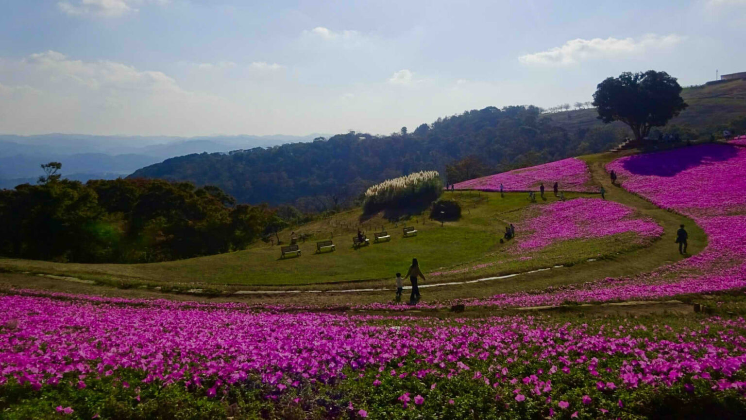 Mother Farm - Travel in Japan