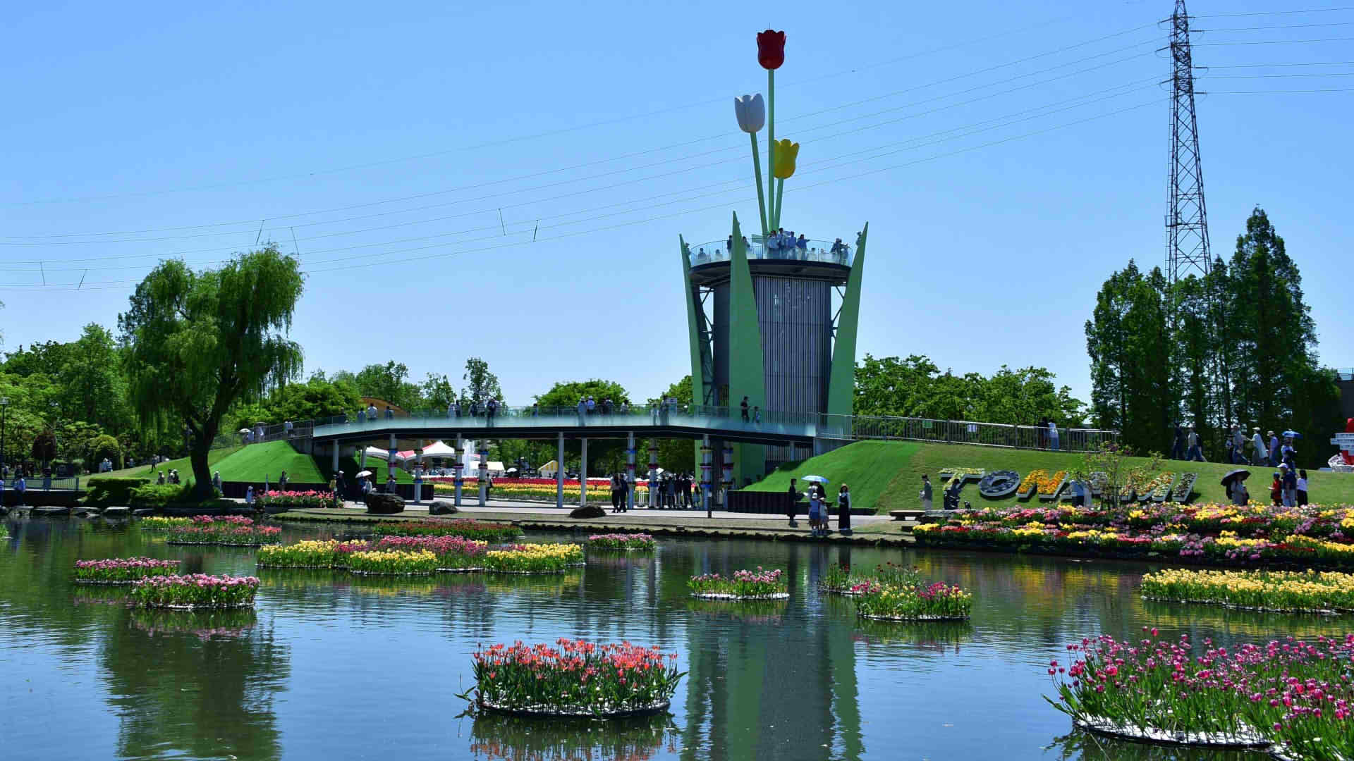 Tonami Tulip Fair - Travel in Japan