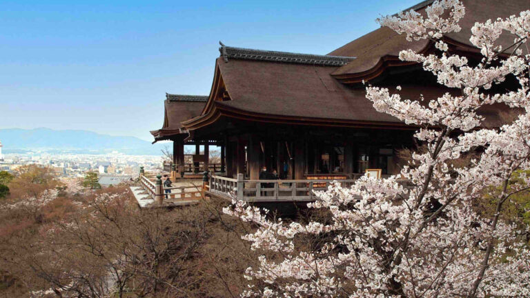 Japanese Hanami: Enjoying Cherry Blossoms, a Spring Tradition - Travel ...